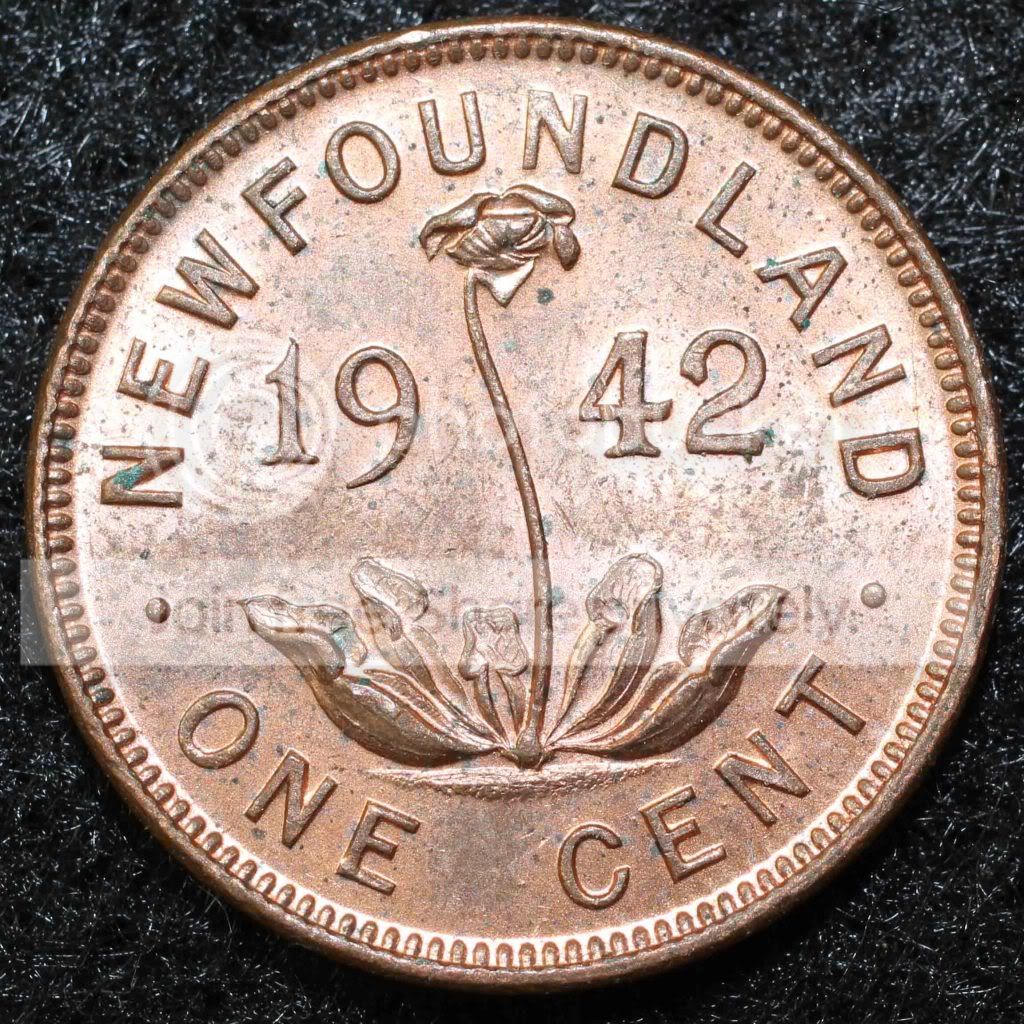 1942 Newfoundland 1 Cent. What Grade? - Coin Community Forum