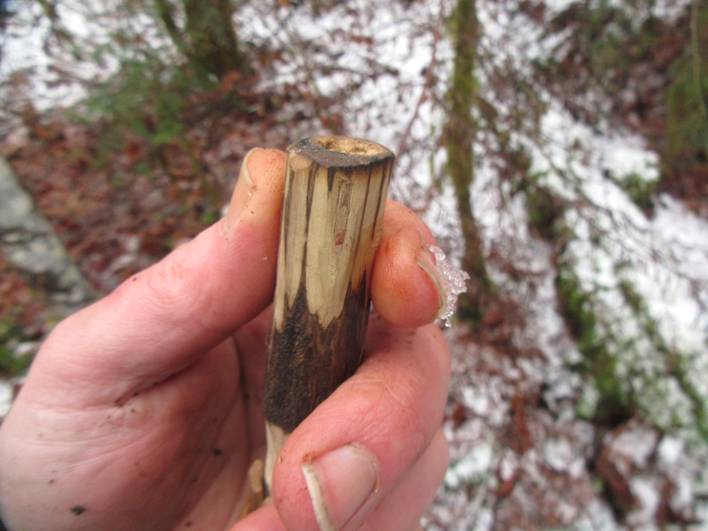 Friction Fire Tuesday | Page 148 | Bushcraft USA Forums