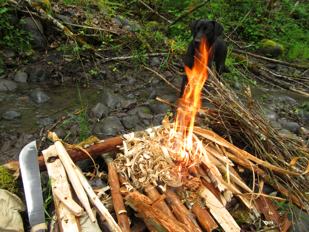 Tinder Bundle Thursday | Page 10 | Bushcraft USA Forums