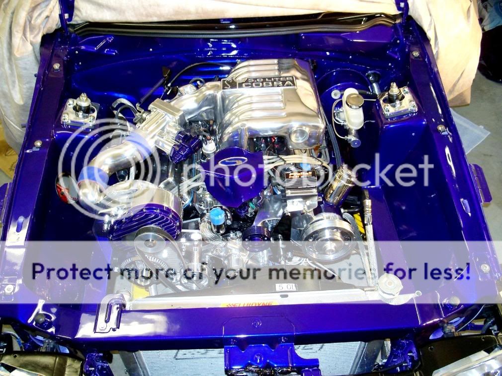 Engine bay detailing Pics ! | Page 87 | Ford Mustang Forums