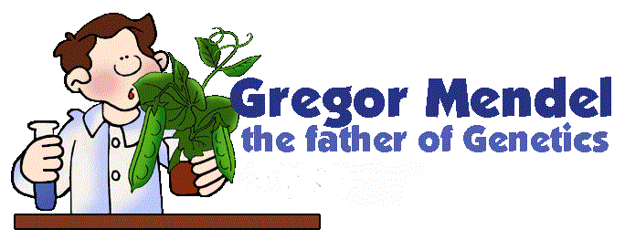 Mendelian Genetics