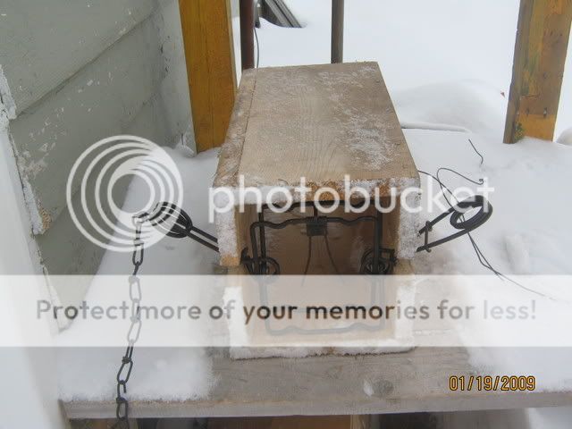 Canadian Trappers Talk Forum • View topic - Cubby Trick