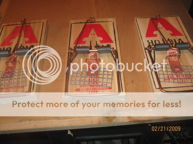 Canadian Trappers Talk Forum • View topic - victor rat trap pan mods pics