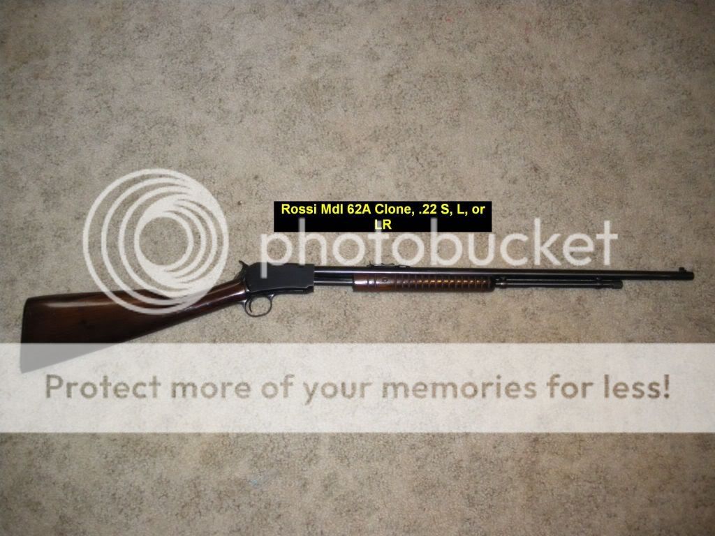 My favorite 22 pump rifle is the... | Rimfire Central Firearm Forum